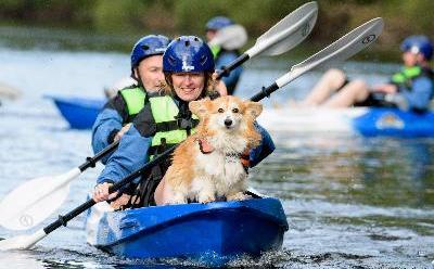 Water Park Ireland | Ballyhass Aqua Park Cork | Outdoor Soft Play